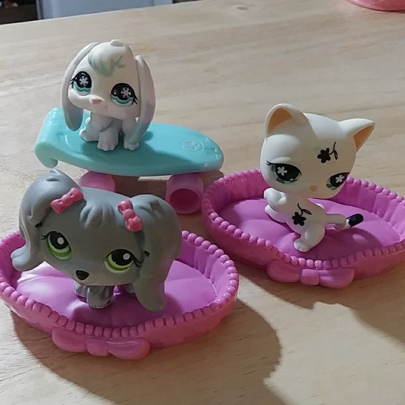 Other | Bundles 1 Littlest Pet Lps Accessories | Poshmark